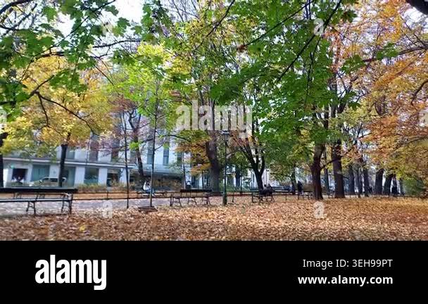 Autumn City Park With Colorful Trees and Fallen Leaves. Melancholy mood ...