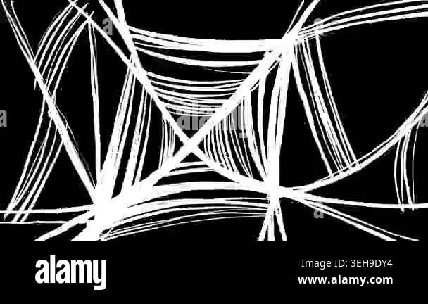 Video transition with intertwining white spiderweb on a black ...