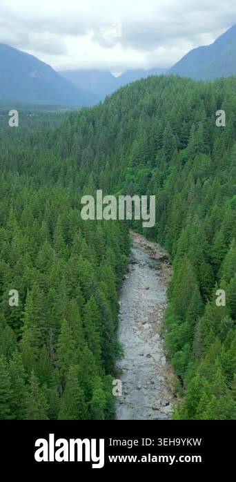 Aerial view of stunning mountain landscape, coniferous forests and a ...