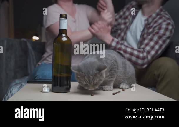 Animal abuse in dysfunctional family. Drunken man and woman fighting ...