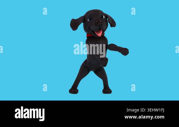 Fun 3D cartoon labrador dancing Stock Video Footage - Alamy