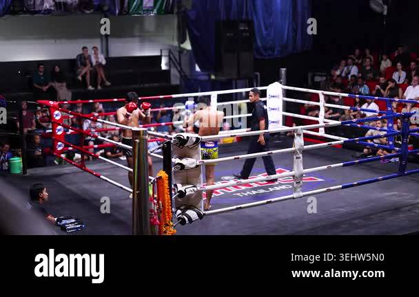 Two male fighters in a boxing ring during a match in a sports arena ...