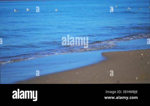 Relaxing ocean surf on a sunny beach with vibrant blue water and sky ...