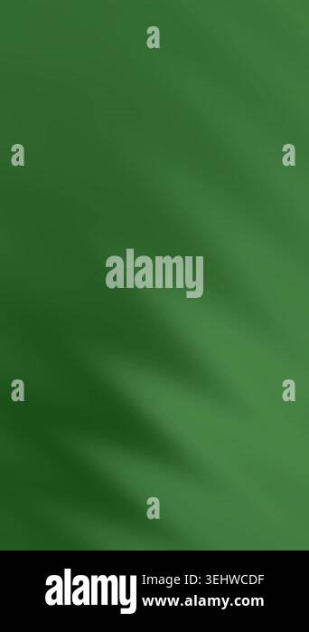 Sage Green Gradient background resembling Nature's hues Stock Video ...