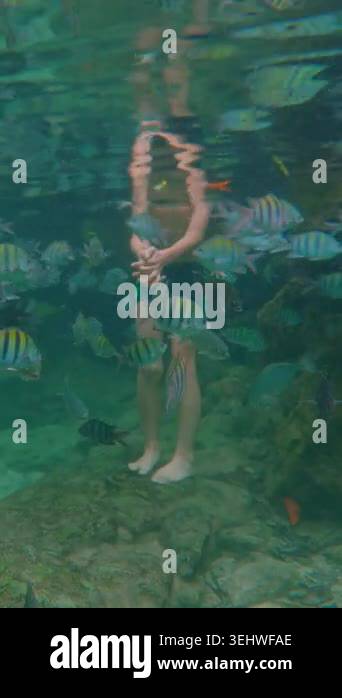 Father and his ten year old son diving in tropical sea surrounded by ...