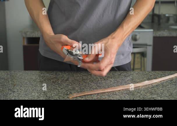 Close up man cutting palm leaf with garden scissors with clear sound ...