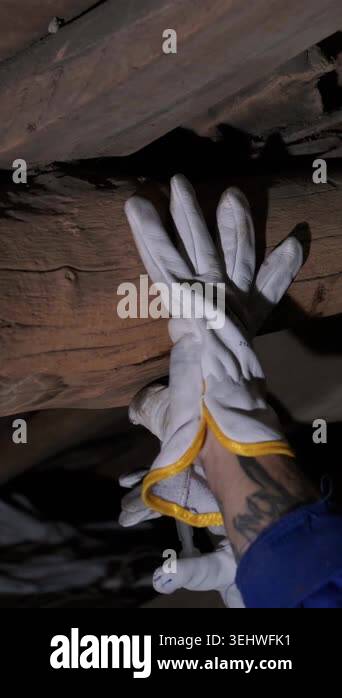 Pest control technician wearing protective gloves injecting a chemical ...