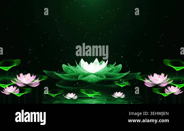 Aesthetic lotus atmosphere with dreamy light and shadow background ...