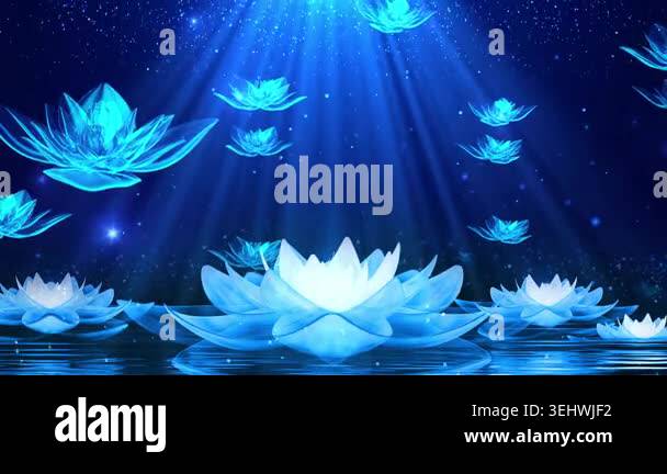 Aesthetic lotus atmosphere with dreamy light and shadow background ...