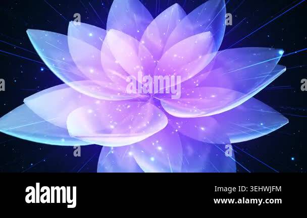Aesthetic lotus atmosphere with dreamy light and shadow background ...