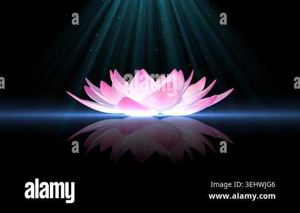 Aesthetic lotus atmosphere with dreamy light and shadow background ...