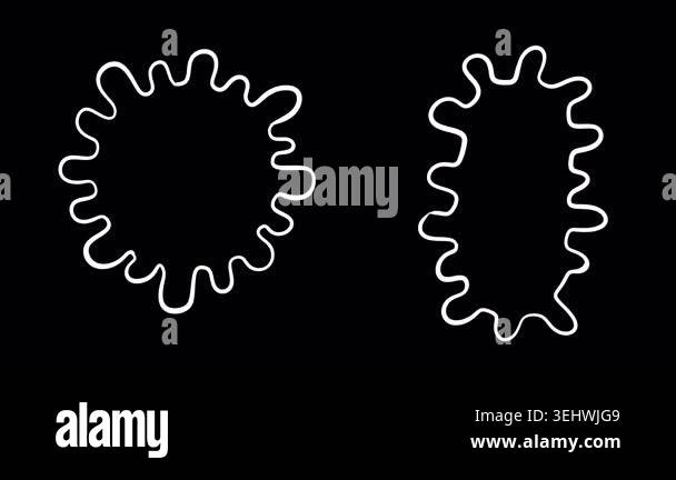 Minimalist white line art animation featuring round and oblong bacteria ...