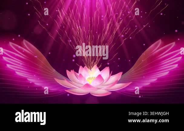 Aesthetic lotus atmosphere with dreamy light and shadow background ...