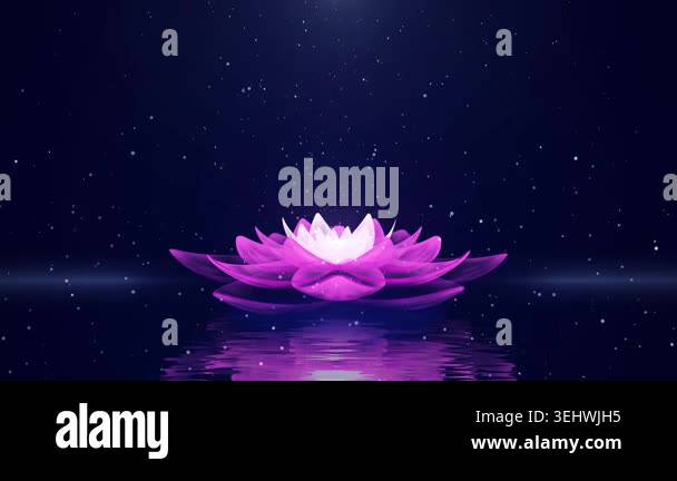 Aesthetic lotus atmosphere with dreamy light and shadow background ...