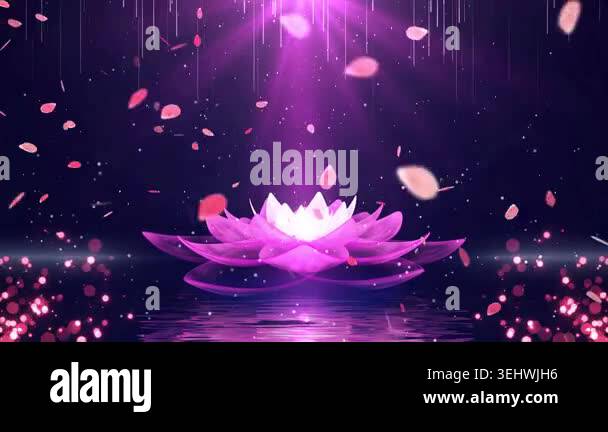 Aesthetic lotus atmosphere with dreamy light and shadow background ...
