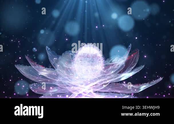 Aesthetic lotus atmosphere with dreamy light and shadow background ...