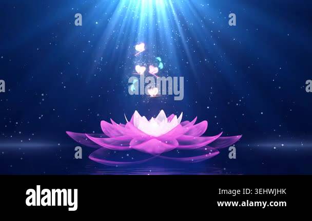 Aesthetic lotus atmosphere with dreamy light and shadow background ...