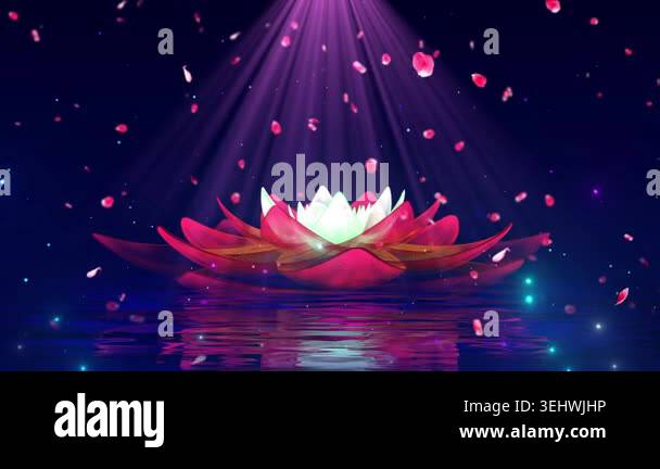 Aesthetic lotus atmosphere with dreamy light and shadow background ...