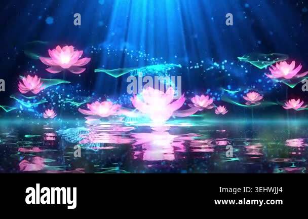 Aesthetic lotus atmosphere with dreamy light and shadow background ...