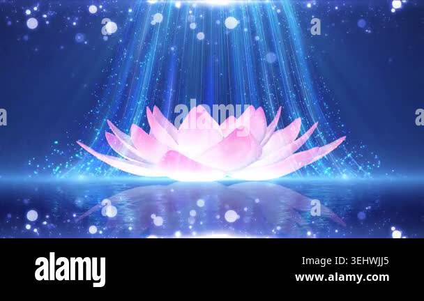 Aesthetic lotus atmosphere with dreamy light and shadow background ...