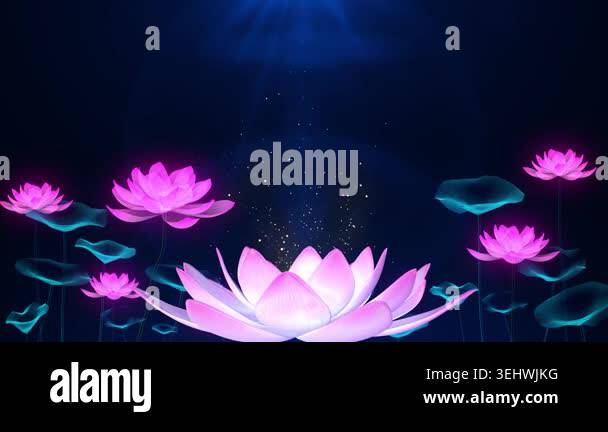 Aesthetic lotus atmosphere with dreamy light and shadow background ...