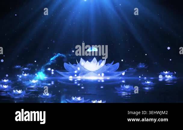 Aesthetic lotus atmosphere with dreamy light and shadow background ...