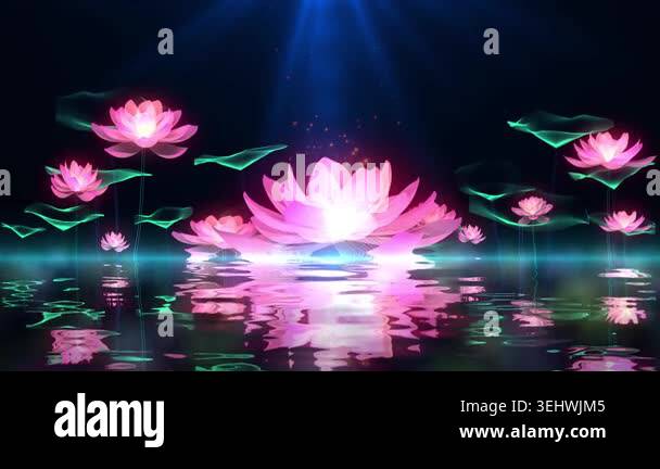 Aesthetic lotus atmosphere with dreamy light and shadow background ...