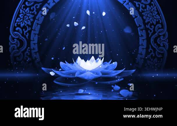 Aesthetic lotus atmosphere with dreamy light and shadow background ...