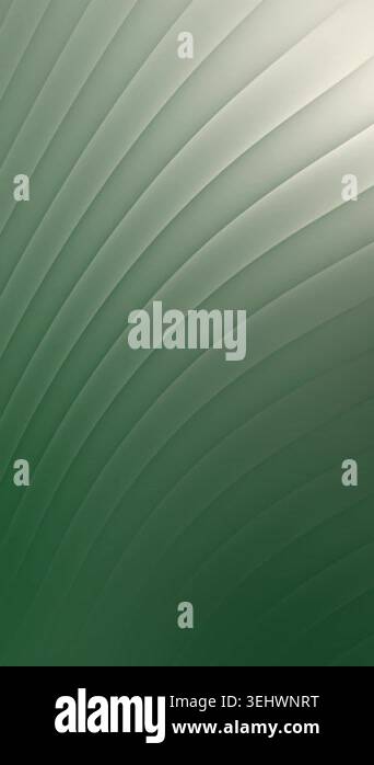 Close-up view of green leaf texture showcasing smooth, curved lines ...