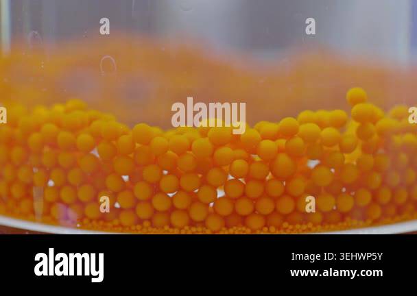 Close up of orange polymer microcapsules moving inside transparent ...