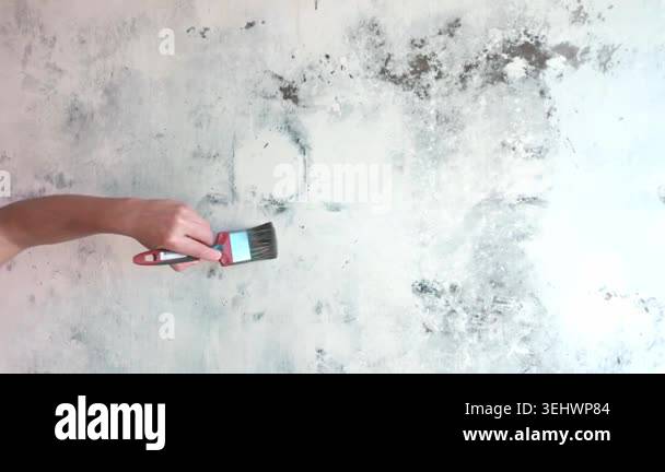 Person priming interior wall with roller in living room Stock Video ...