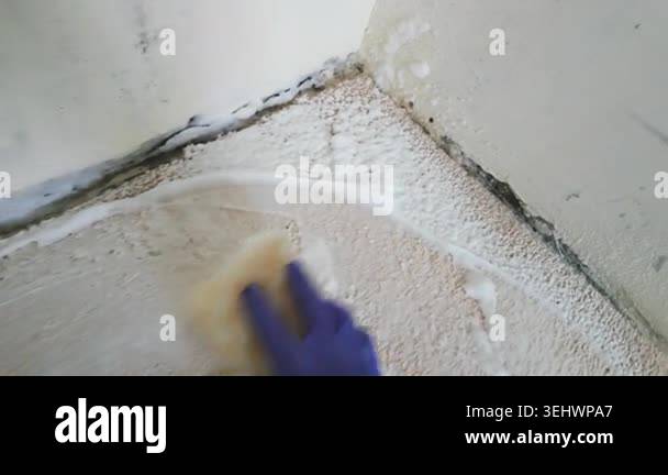 Person scrubbing carpet near wall baseboard with foam cleaner Stock ...