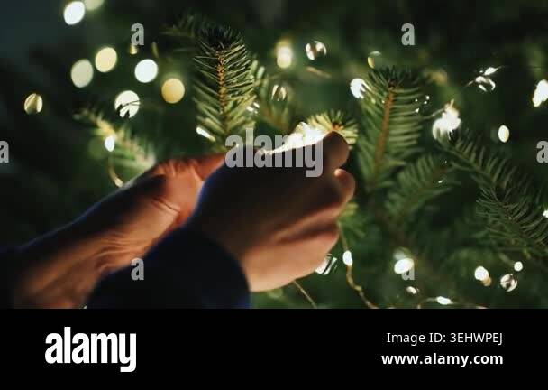 Christmas Tree Garlands light.Hands unspool a string of lights against ...