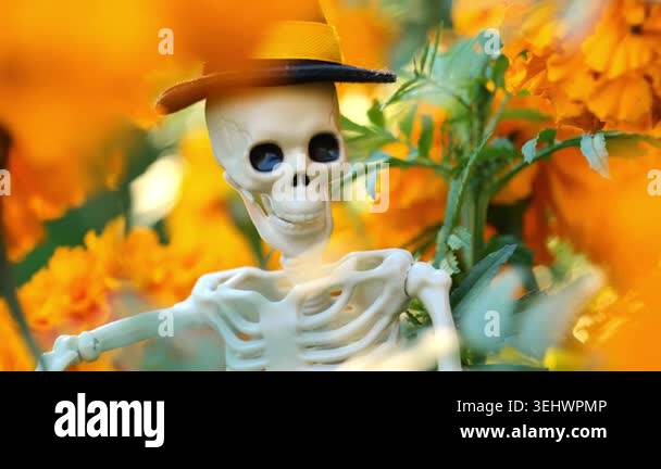 Halloween and Day of the Dead background featuring a skeleton in a ...