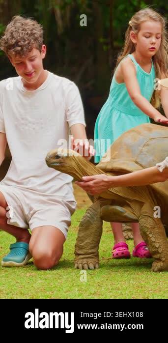 Family pet the head of a rare, giant turtle on the tropical island of ...