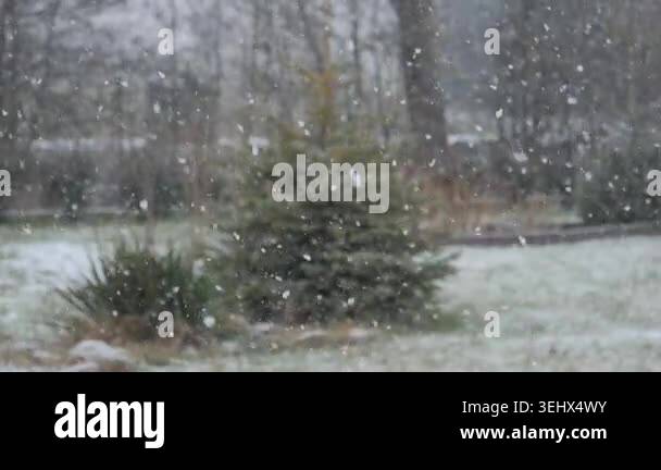 Falling snow. Winter. Slow motion Stock Video Footage - Alamy