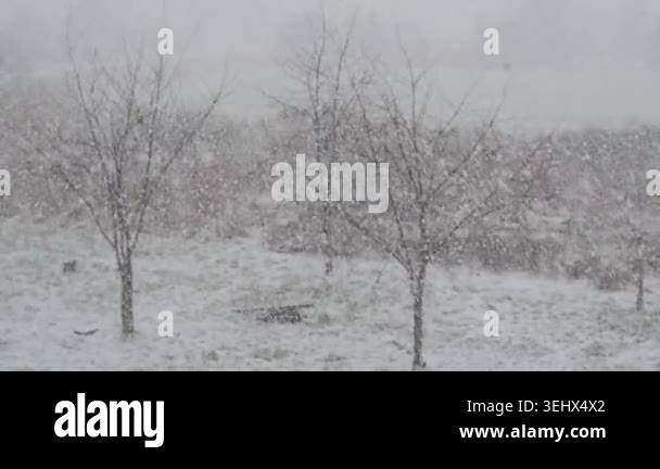 Slow motion of falling snow. Snowy weather Stock Video Footage - Alamy