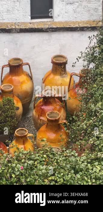Rustic ceramic jugs surrounded by lush green plants, Mediterranean ...