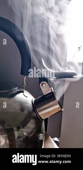 Vertical, close-up of a stainless steel kettle boiling on a stove ...