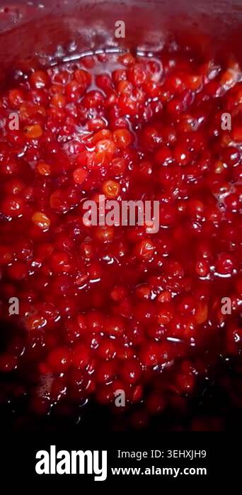 Small red berries gently simmer in a bubbling sugary syrup while making ...