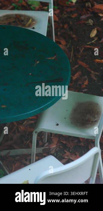 Rain soaked patio furniture surrounded by scattered leaves in calm ...
