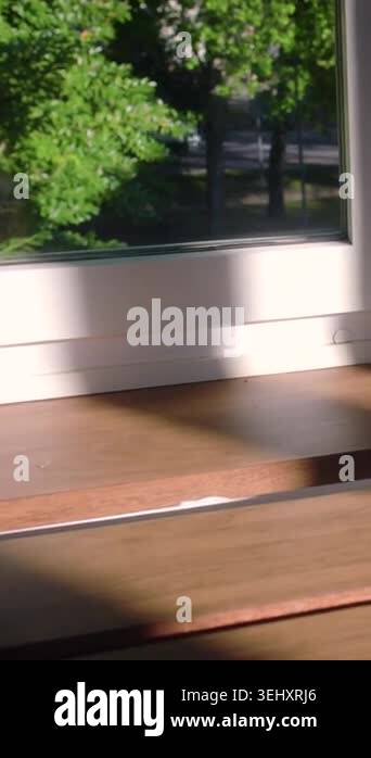 Soft daylight enters through window illuminating wooden surface and ...