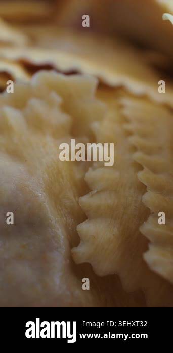 Closeup of uncooked ravioli filled pasta highlighting gourmet culinary ...