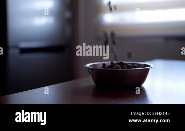 Dry brown pet food kibble falls smoothly into a stainless steel bowl on ...