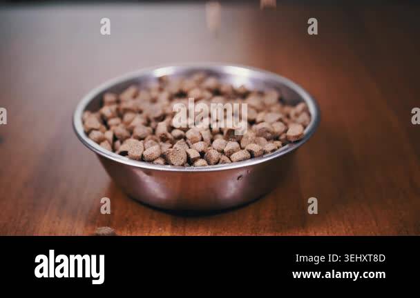 Brown dry pet food kibbles fall into a shiny metal feeding bowl resting ...