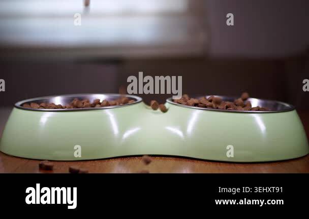 Dry pet kibble pours into a green stainless steel double bowl, with ...