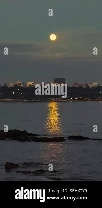 Lockdown vertical video showing the sea with moon reflection on water ...