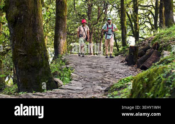 Two trekkers with backpacks follow a moss-covered stone path surrounded ...