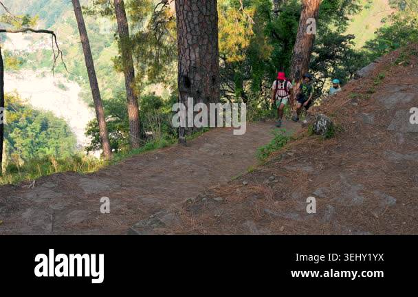 A person treks along a narrow dirt path surrounded by trees and rocky ...