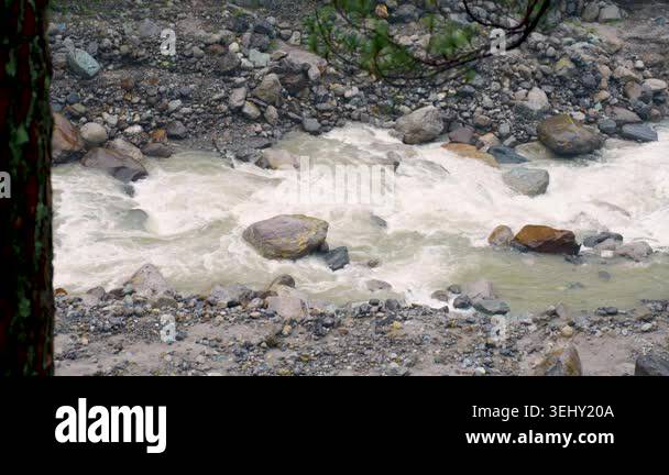 Clear glacial stream with visible rocks and pebbles flowing through a ...